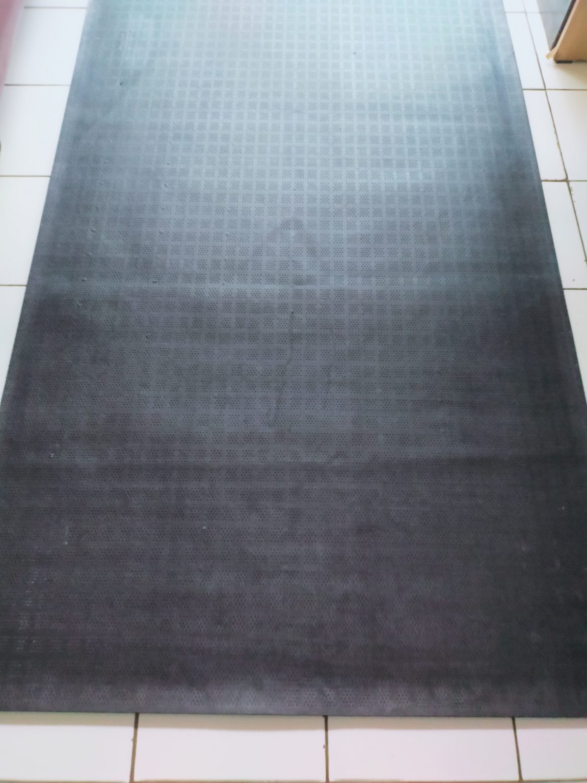 Karpet Dust Matt